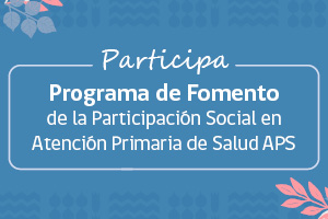 Programa Fomento de la Participación Social en APS - Servicio de Salud ...